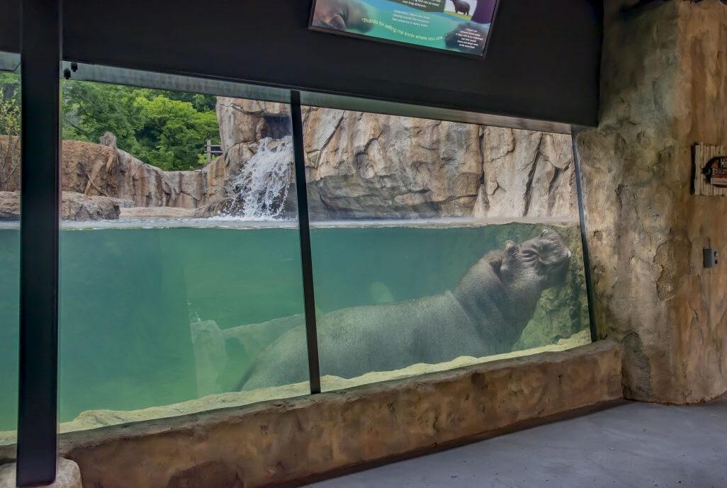 Milwaukee County Zoo Hippopotamus Habitat | COST of Wisconsin